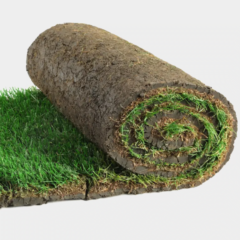 Nos 3 variétés de gazon naturel en rouleau - La Gazonnière