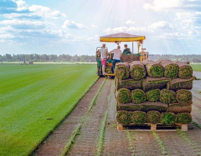 Notre entreprise - La Gazonnière